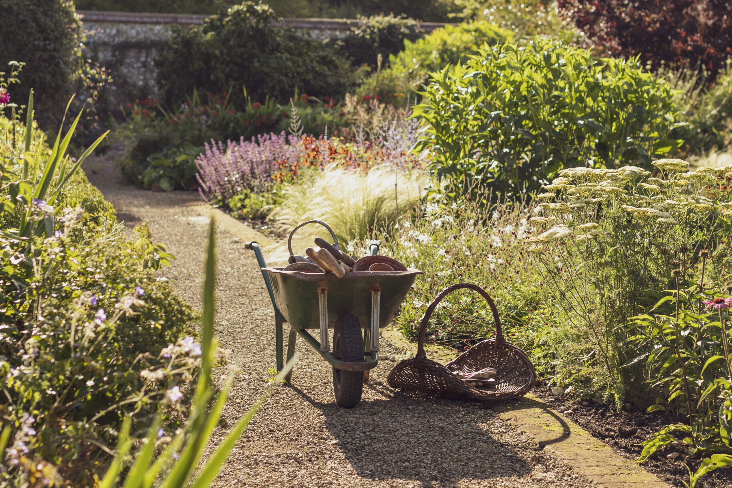 Latest News - Wormsley Estate